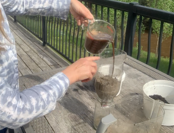 Experiment - Wetlands as a Filter - Eagle Point - Blue Rapids Parks Council