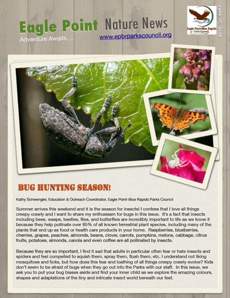 Nature News - Eagle Point - Blue Rapids Parks Council