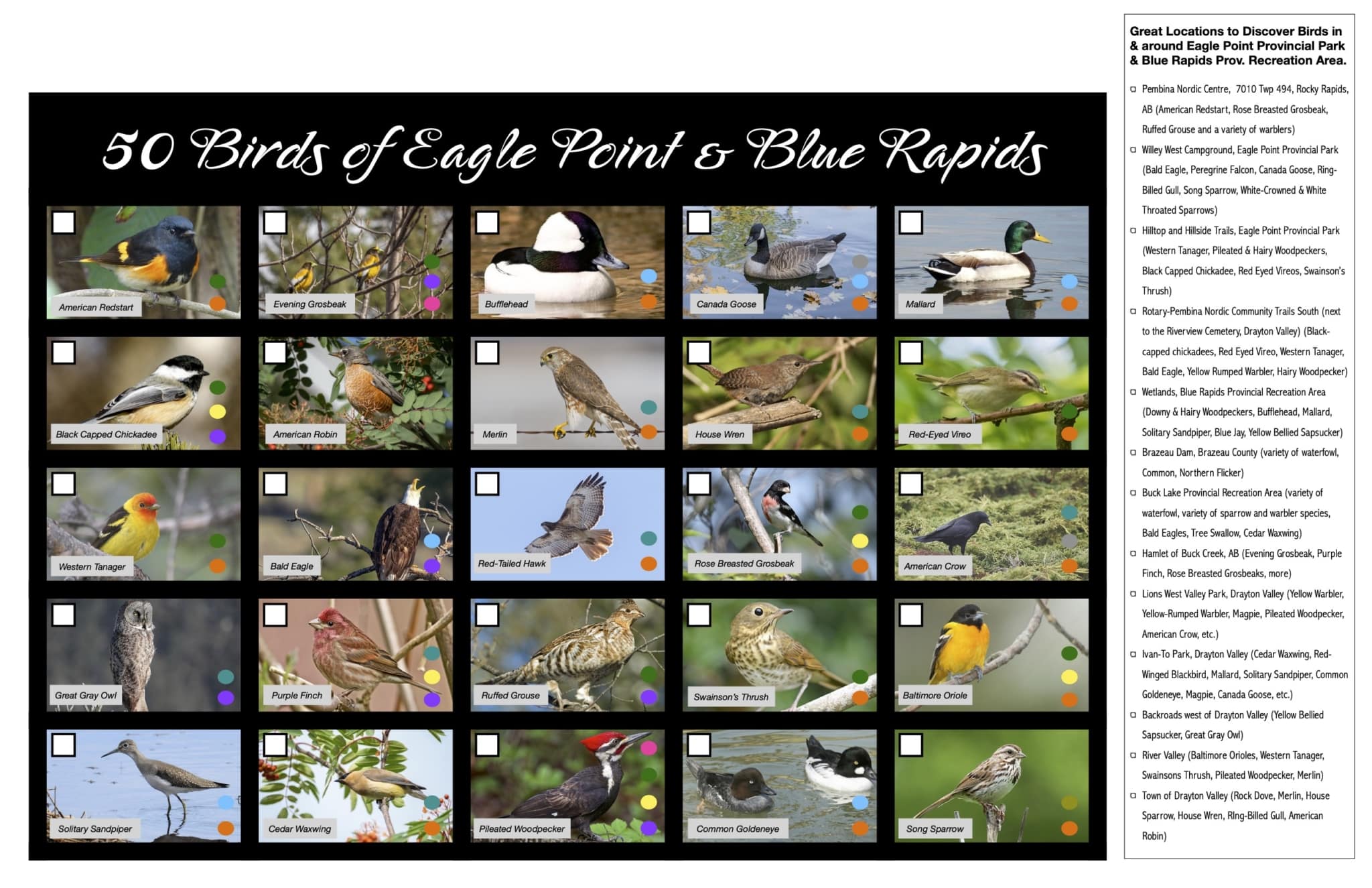50 Birds of Eagle Point & Blue Rapids Parks System - Eagle Point - Blue ...