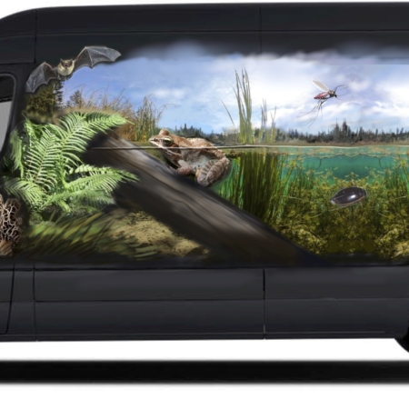 What's a Nature Navigator and Why Do we Need It? - Eagle Point - Blue ...