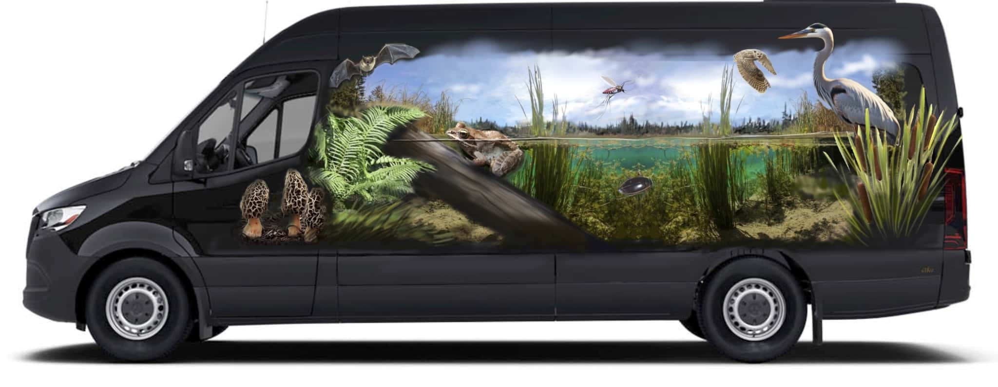 What's a Nature Navigator and Why Do we Need It? - Eagle Point - Blue ...