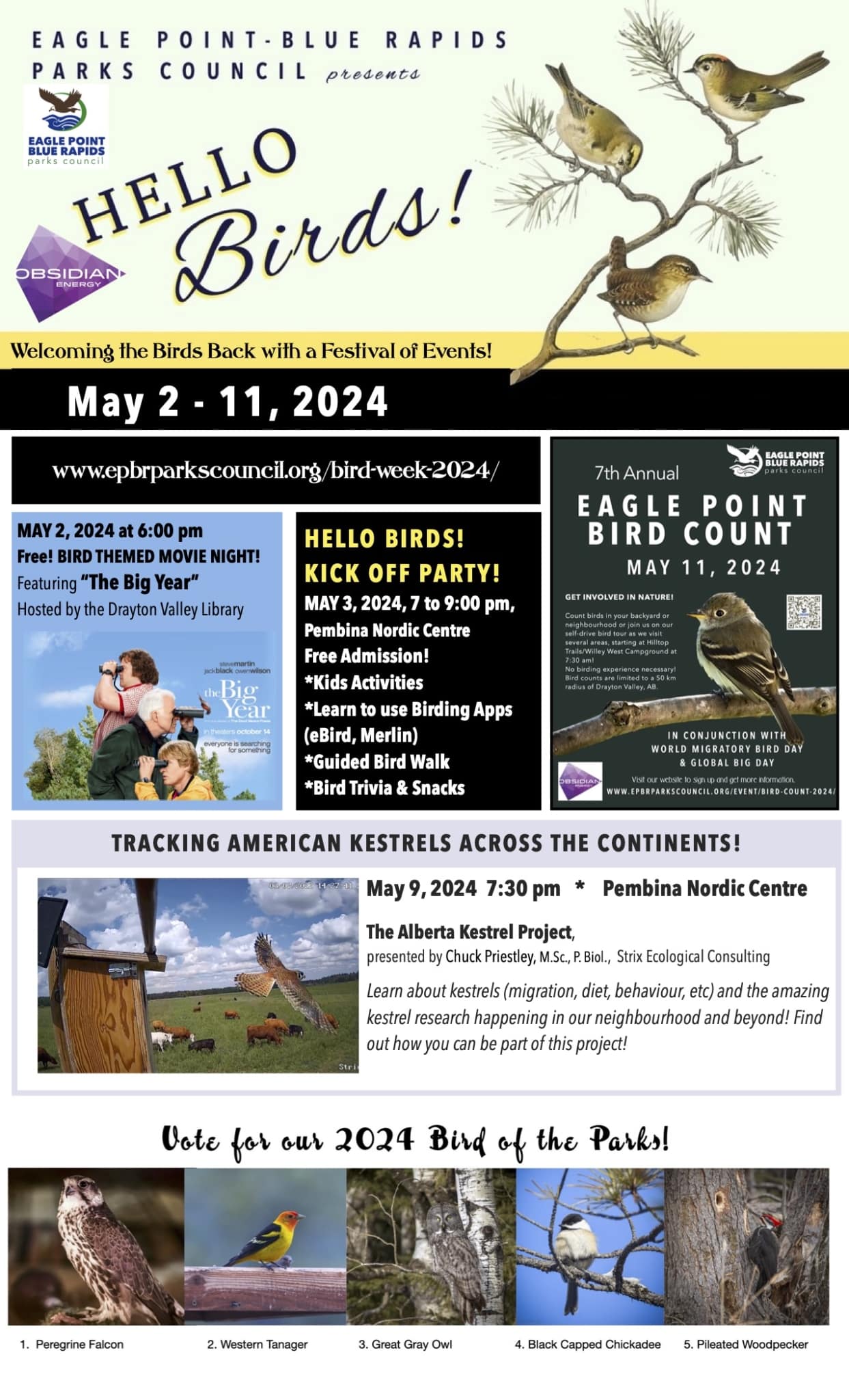 Hello Birds! We're Celebrating Migration with a Festival of Activities ...
